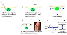 Glucose-Responsive Insulin