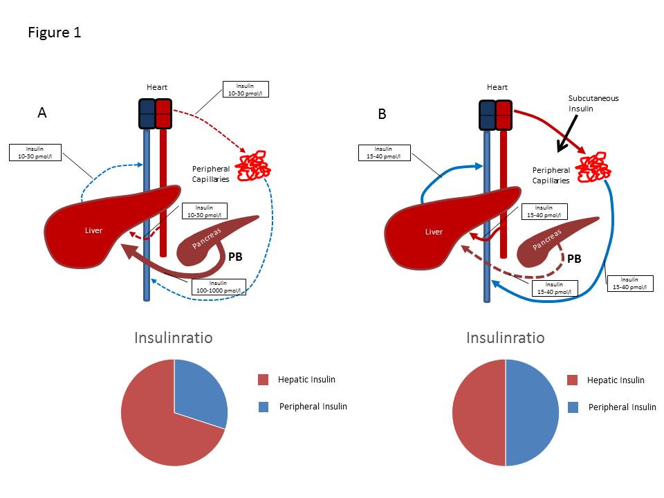 Modifying insulin kinetics - clinical requirements and limitations (Part 1)